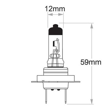 LIGHTING H7 HALOGEN GLOBE 12 VOLT 55 WATT PLUS 100